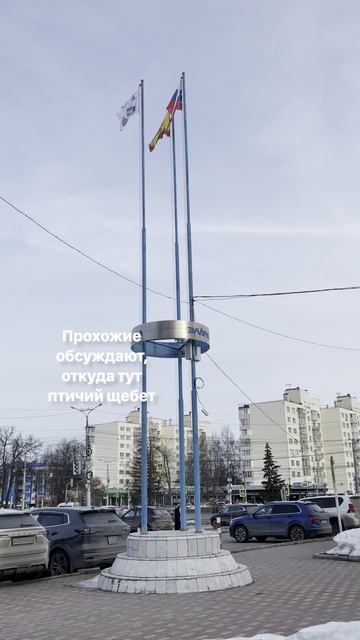 НУ И ПТИЧКИ НА ПРОХОДНОЙ!