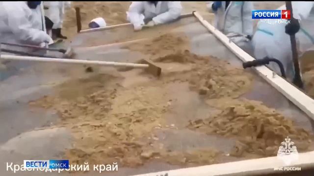 🧪 Омские учёные разработали эффективный способ борьбы с разливом нефтепродуктов в Чёрном море