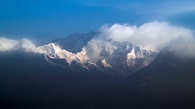 1.  Дарджилинг (2)