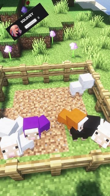 10 фактов об овце в майнкрафте #майнкрафт #minecraft  #промайнкрафт #майнкрафтвидео #промайнкрафт