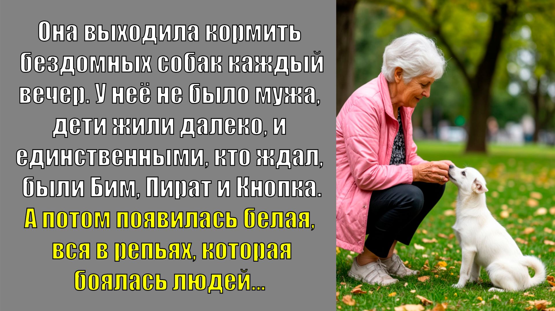 Истории из жизни | Она спасла собаку. Собака спасла её | Аудио рассказы | Жизненные истории