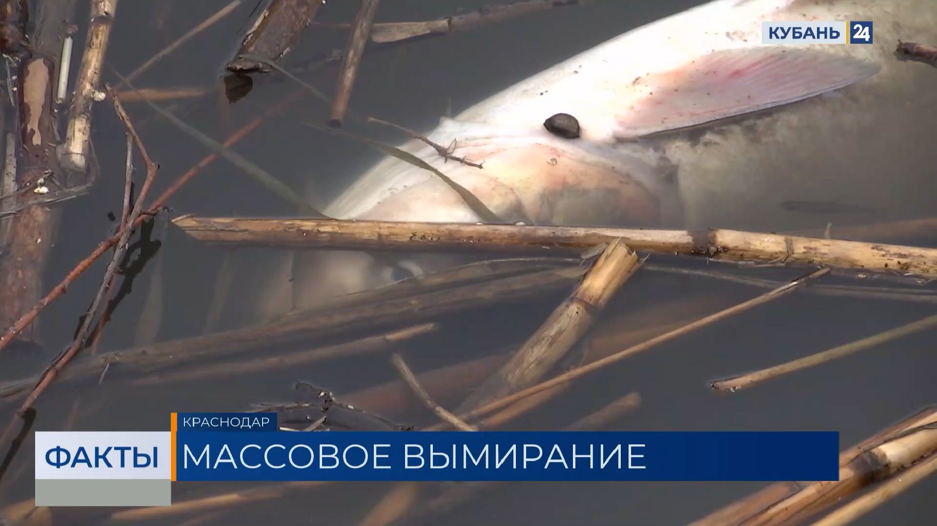 ФАКТЫ. Выпуск от 02.04.2026