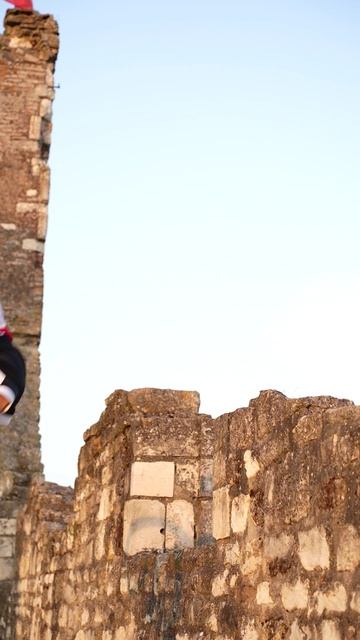 Велокрепление на фаркоп Buzzrack Scorpion Pro 2