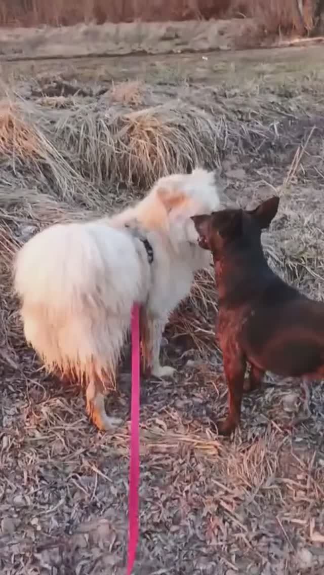 Ричика подруга ❤️