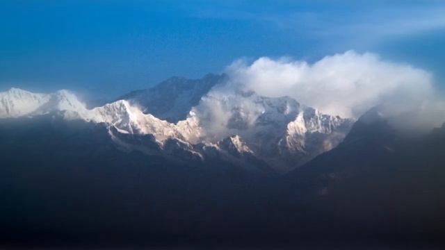 1. Дарджилинг (1)