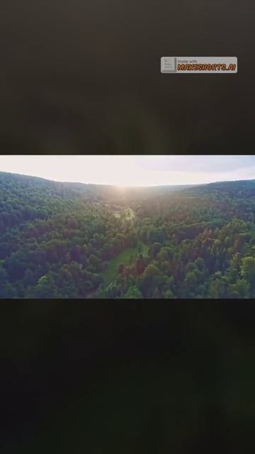 Нетронутый уголок природы 🌿