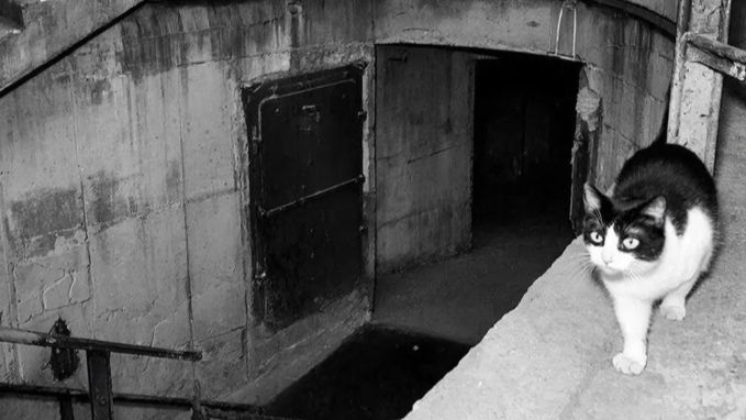 Бункер и дорс от 0 до 200 дверей роблоксе {подпишись}