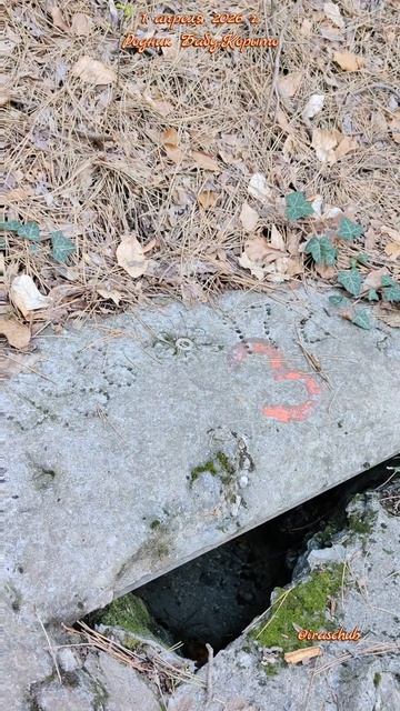 1 апреля 2026 г. Родник Бабу-Корыто #ялта #ялта2026 #бабукорыто