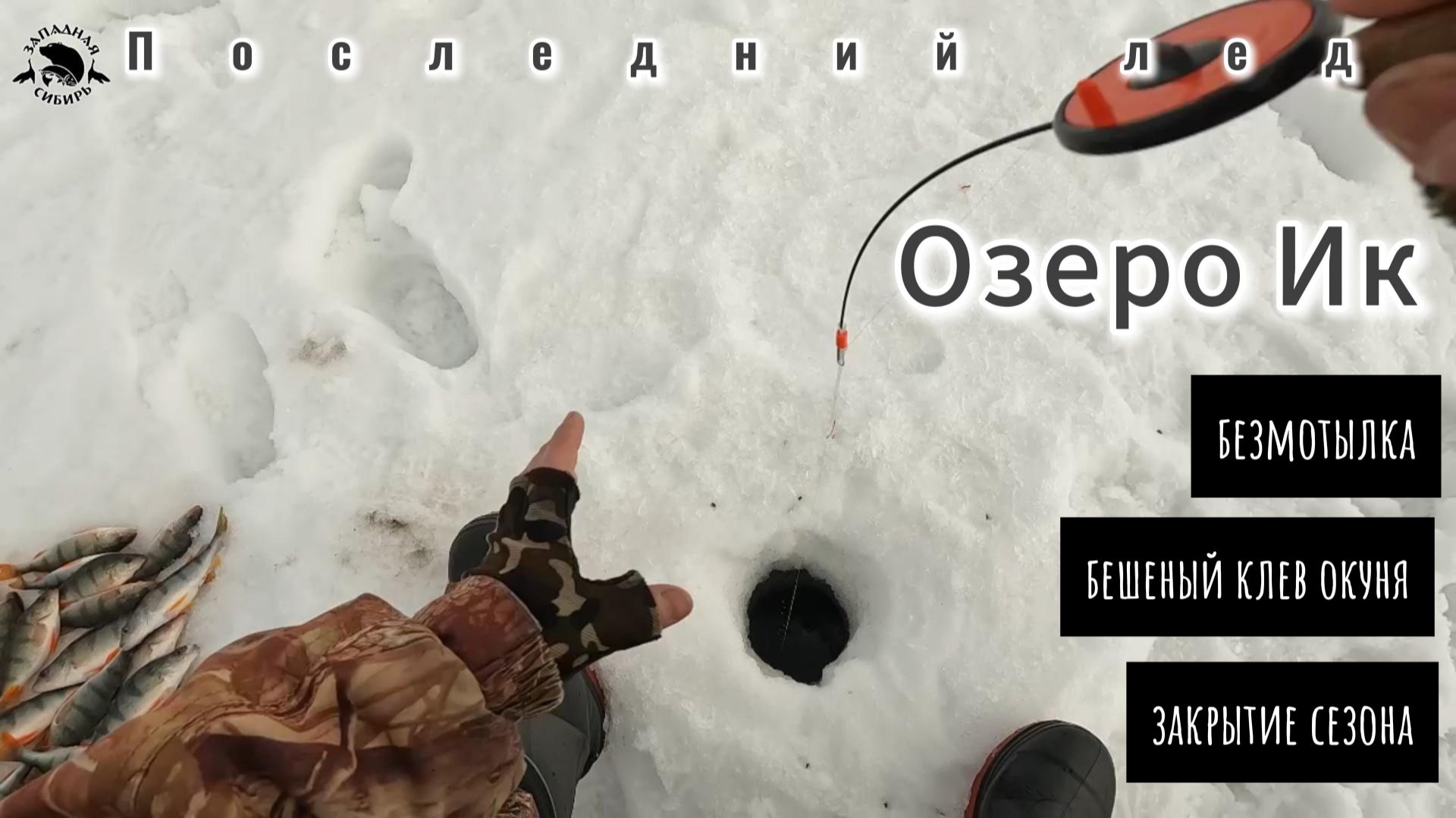 Зверский КЛЕВ ОКУНЯ! Безмотылка! Последний ЛЕД! 4К