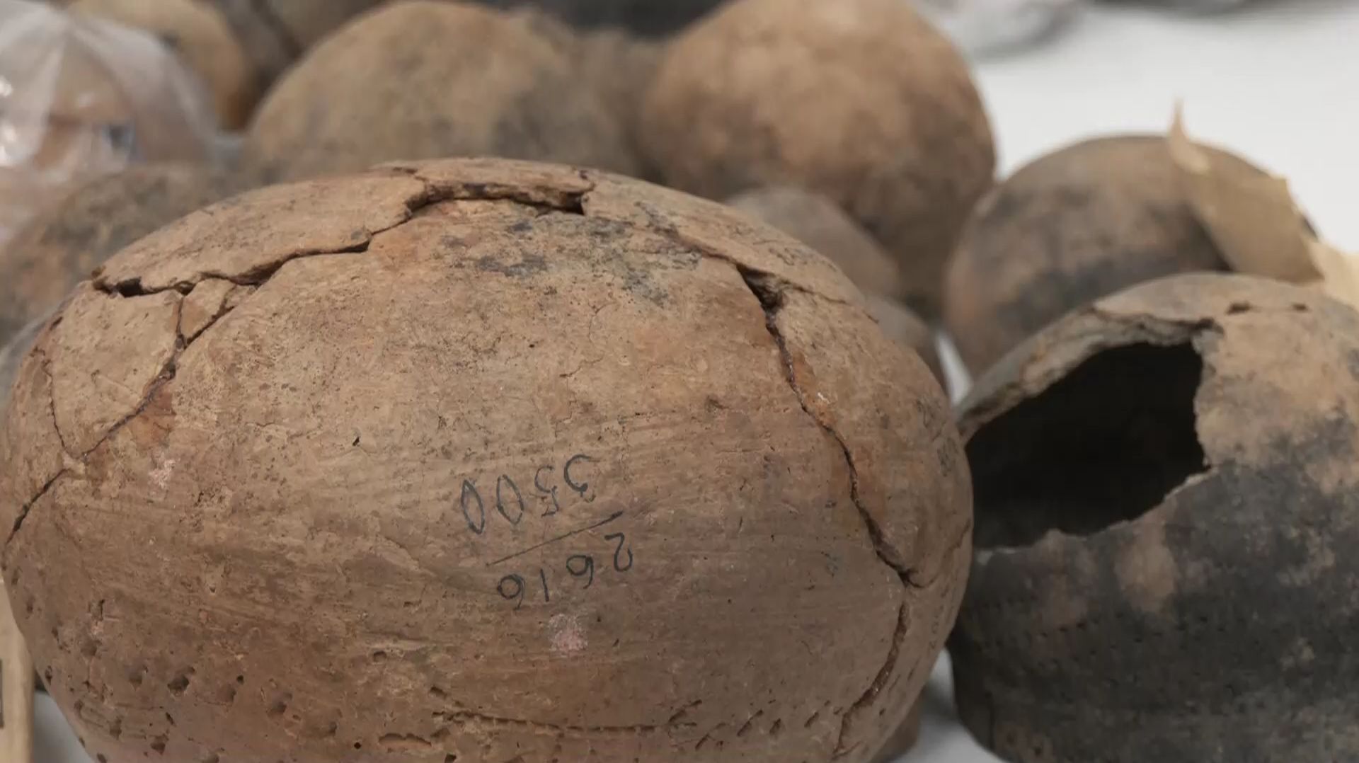 Музейному центру «Барсова Гора» вернули коллекцию артефактов