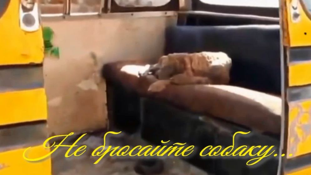 Не бросайте собаку. Стихи, монтаж и генерация звука в ИИ - Е.Доставалов