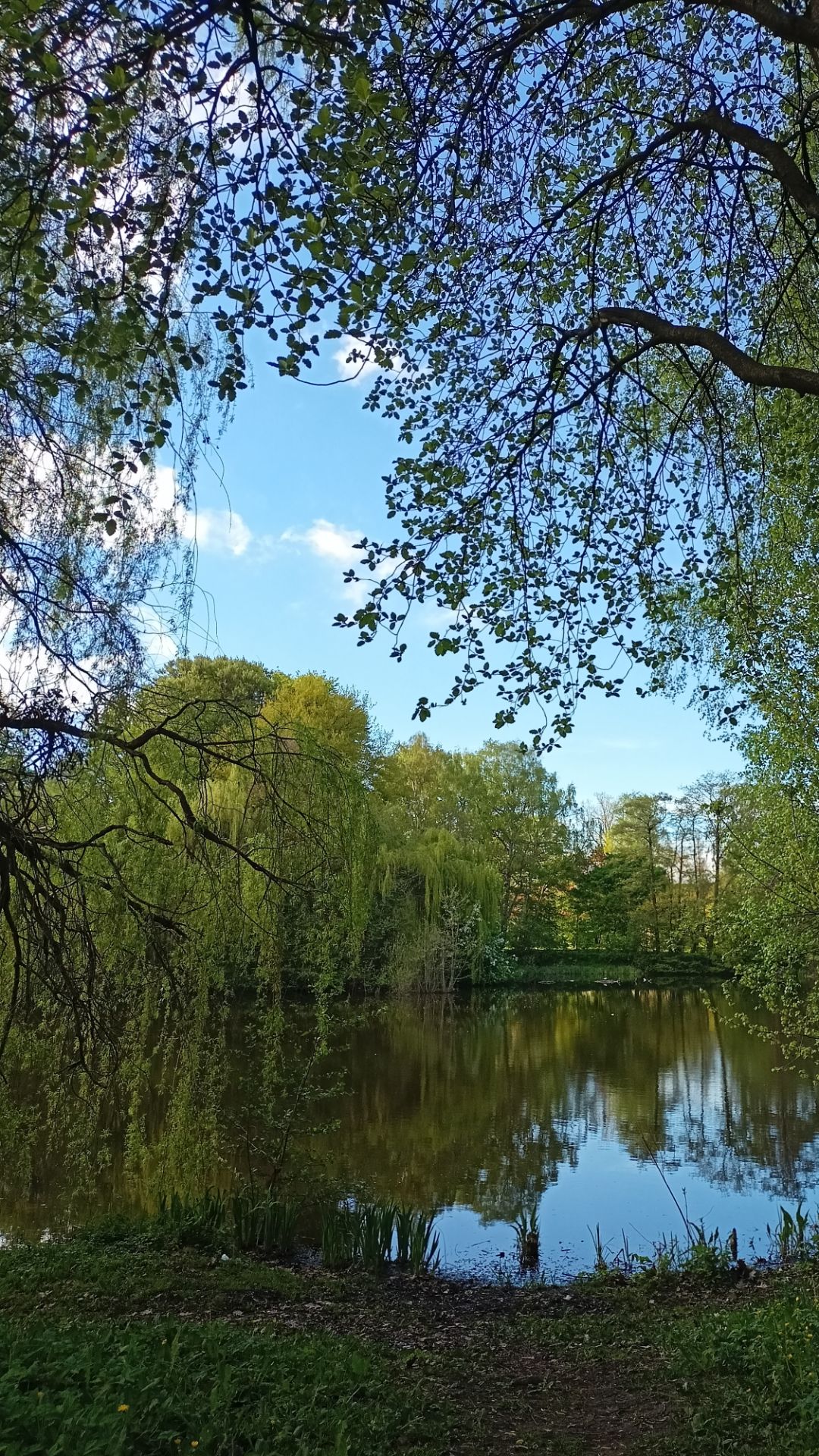 Весенняя песня.