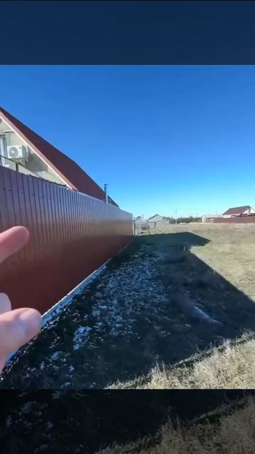 MOV_20260331_050636_242.mp4