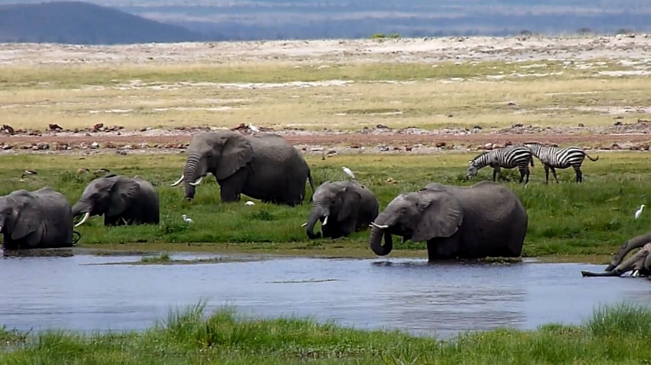 Аквапарк в Африке