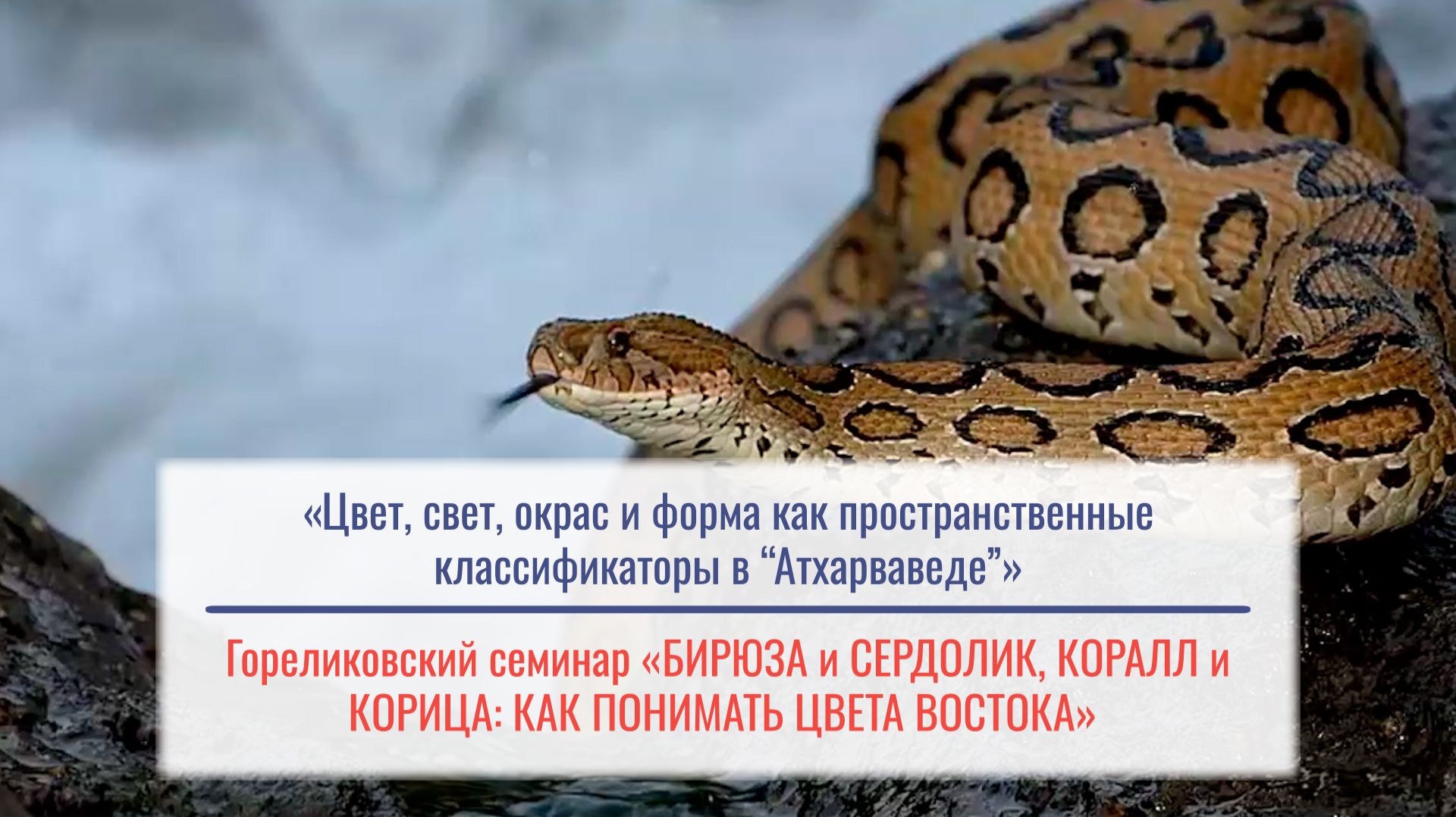 «Цвет, свет, окрас и форма как пространственные классификаторы в "Атхарваведе"» - Вырщиков Е.Г.