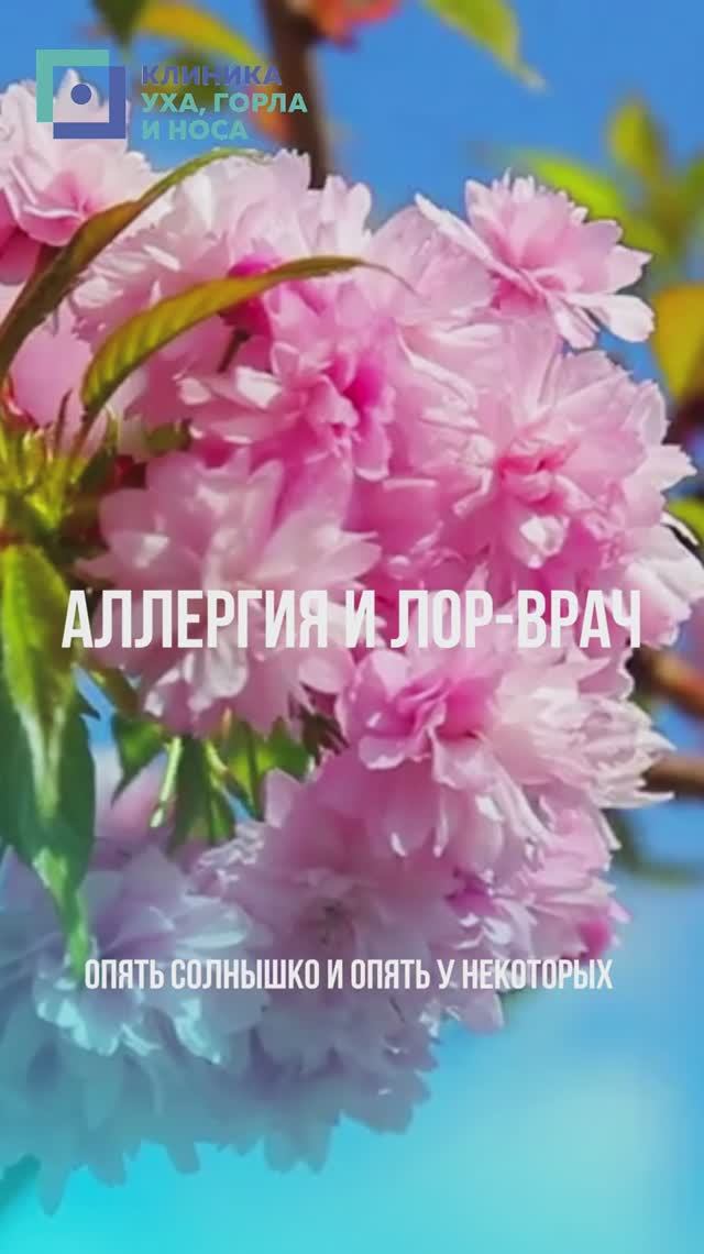 Аллергия и ЛОР-врач