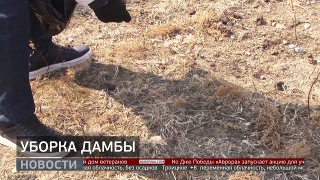 Уборка дамбы. Новости. 03/04/2026. GuberniaTV