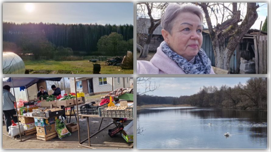 ЕДЕМ В ГОРОД ПРОГУЛЯТЬСЯ ПО РЫНКУ, А НА ИСТОЧНИКЕ УЖЕ ПРИЛЕТЕЛИ ЛЕБЕДИ.