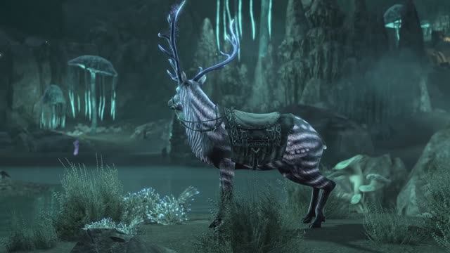 The Elder Scrolls Online – Трейлер сезонов