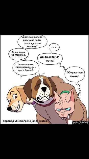 Ночные проблемы) Хэллоуин у Пикси и Брута