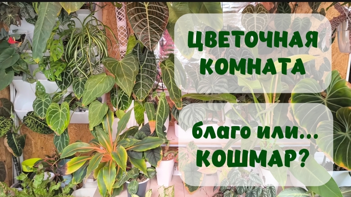 ЦВЕТОЧНАЯ КОМНАТА , расширение 2,0 часть 0. СЕКРЕТЫ И МАТЕРИАЛЫ. 03-04-2026