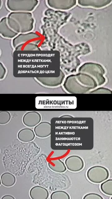 Что происходит в организме, когда мы пьем или не пьем воду. Семейный доктор Алена Братишко