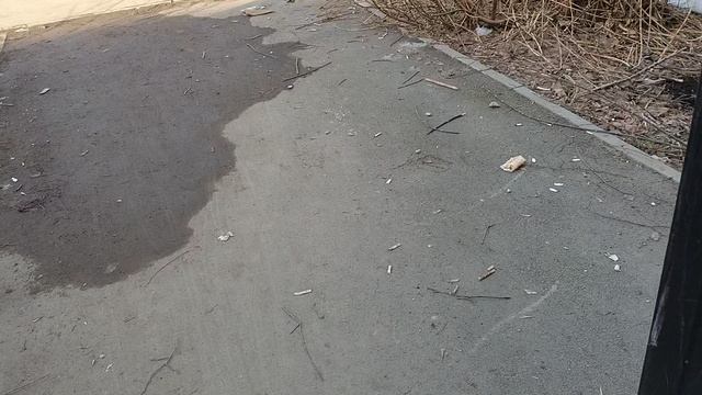 №2024 Двор П. Осипенко 48. 2 апреля 2026 г., 15:15:33 VID_20260402_151457034