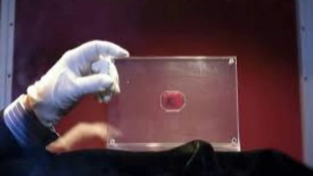 170 лет назад - Начались приключения самой редкой из когда-либо напечатанных марок