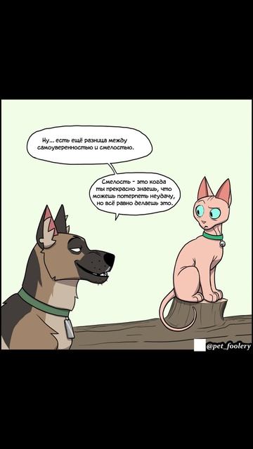 Уверенность) Пикси и Брут