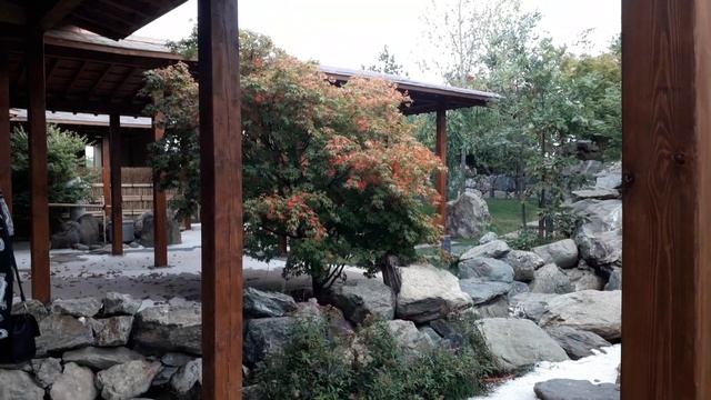 Краснодар. Маленький дворовый каменный садик в Японском Саду Парка Галицкого.Куда поехать по России.