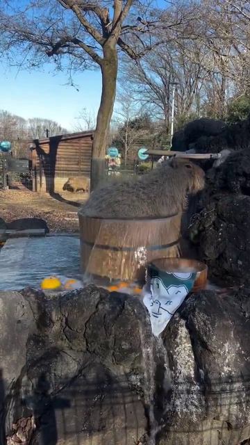 Принимаем освежающую ванну