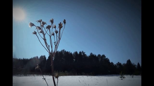 А.Пушкин. Если жизнь тебя обманет...