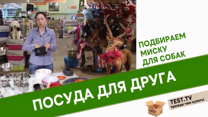 TEST.TV:Посуда для лучшего друга. Какая миска подойдет вашей собаке?