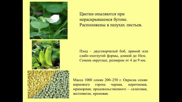 Комплектование МТА - 6.04. 231 группа