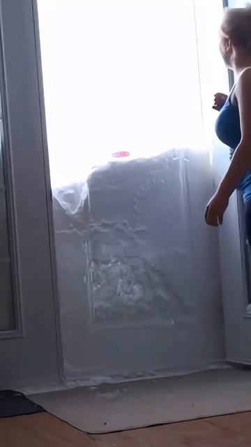 Кошка и снег.