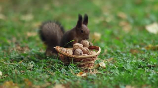 ОЧЕНЬ КРАСИВАЯ РАССЛАБЛЯЮЩАЯ МУЗЫКА ДЛЯ ДУШИ