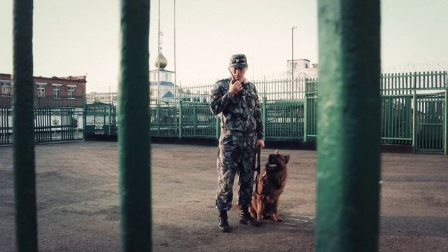 «Тауба», 2015, документальный фильм