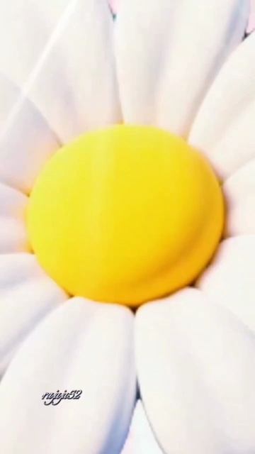 Ро-маш-ка белая! 🌼