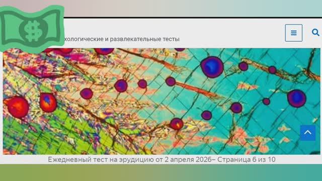 Не бойтесь ошибиться. Как выглядит капля
