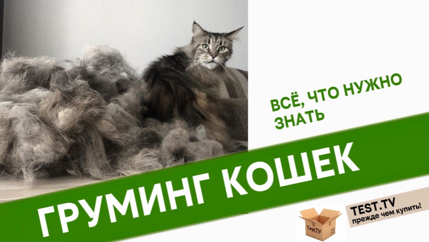 Test.tv: Все для животных. Все о груминге кошек