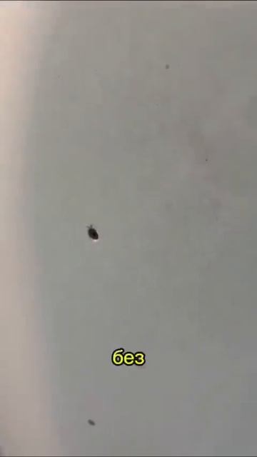 Монтаж перегородок. 👍