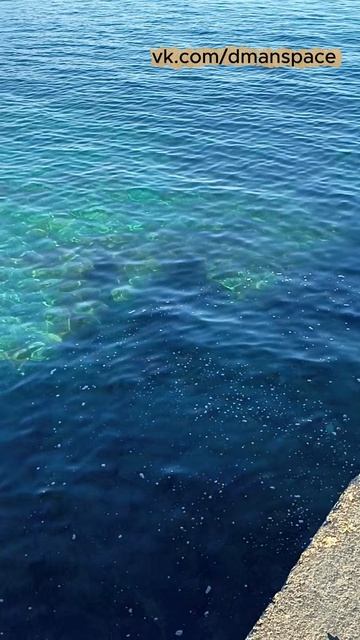 Чистота воды на Ливадийском пляже