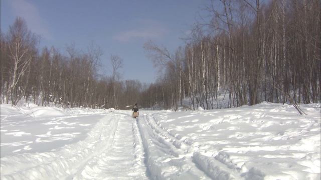 «Ещё вьётся над крышей дымок», 2014, документальный фильм