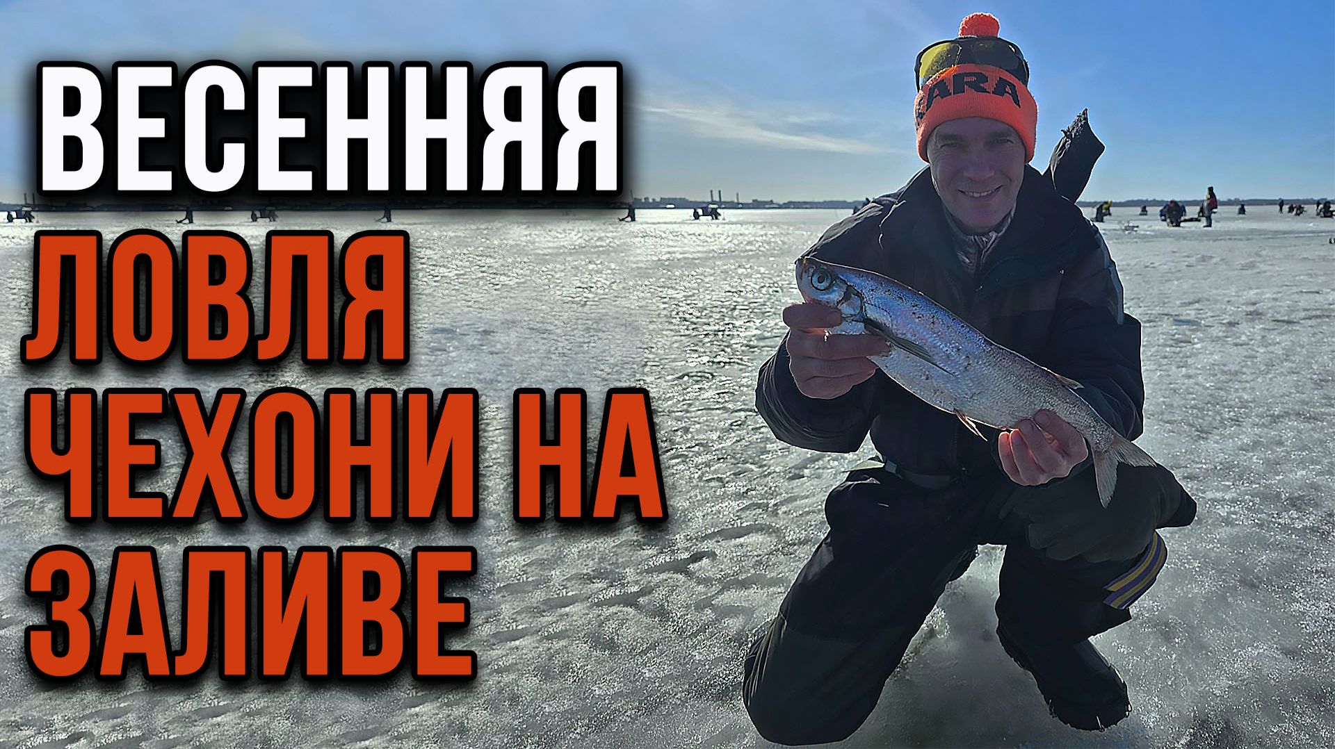 Весенняя ловля  чехони на Финском Заливе.