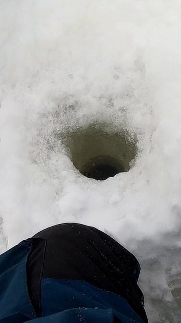 Окунь на искусственную наживку! Рыбалка на озере! Видос уже на канале! Резиновый мотыль и опарыш!