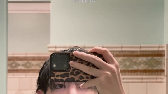 Влог Тэхёна из Лос-Анджелеса | Озвучка Riddle Space