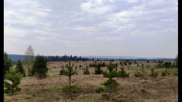 А. Пушкин. Песнь о вещем Олеге