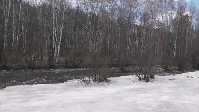 Поход по майской Никишихе. (Забайкальский край)