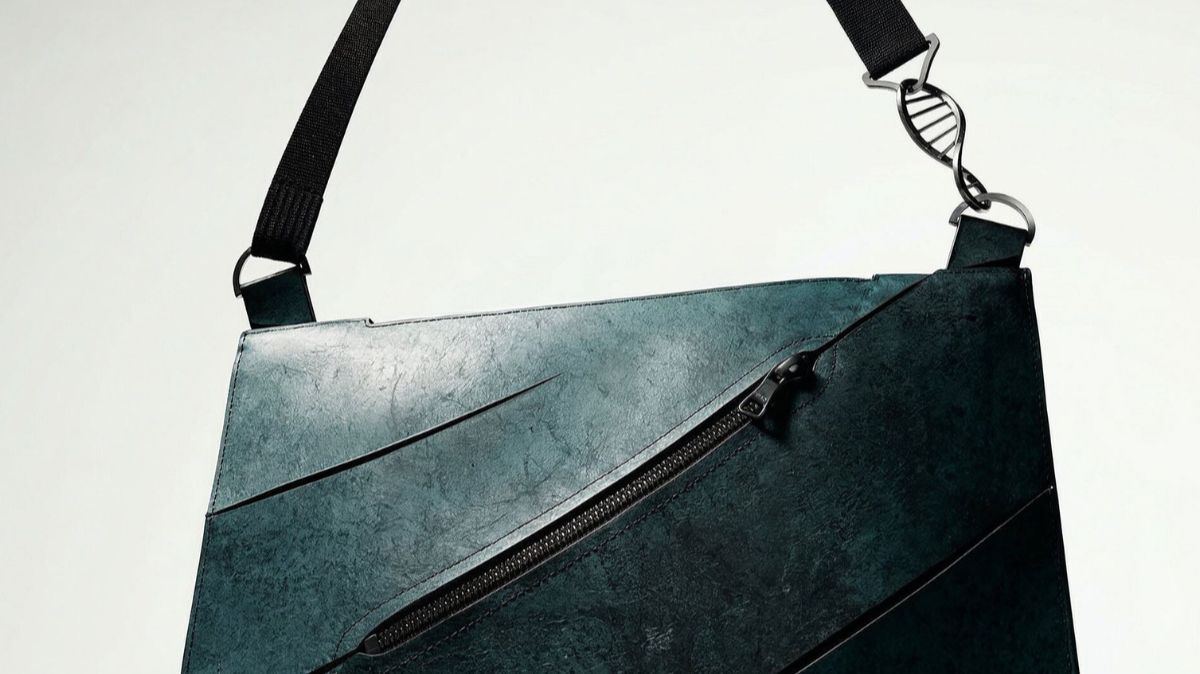 Из динозавра в аксессуар: VML и биотех-компании создали первую в мире сумку из кожи тираннозавра