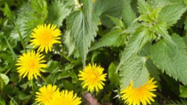 Как разгрузить организм